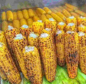 The Benefits Of Eating Corn - iBrand Digital